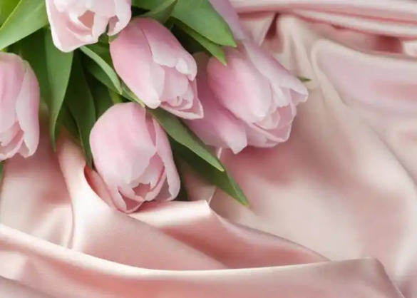 The Flower That Symbolizes Gentleness: An In-Depth Exploration ...